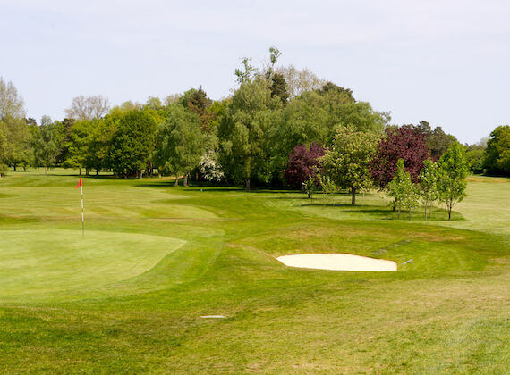 6 :: Bramley Golf Club